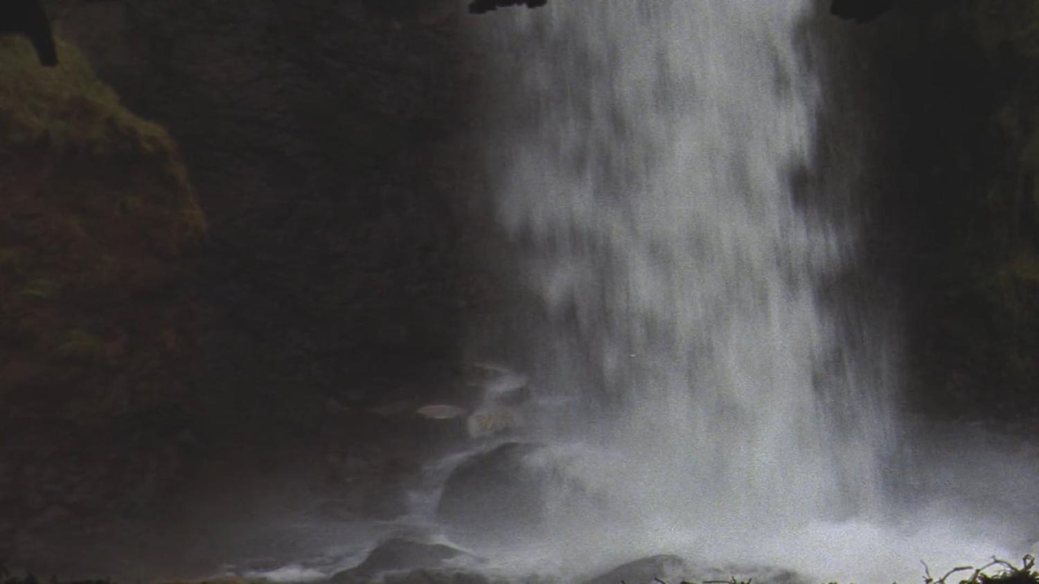 Sam Hamilton Taking Solos (2017) | Circuit Artist Moving Image Aotearoa ...