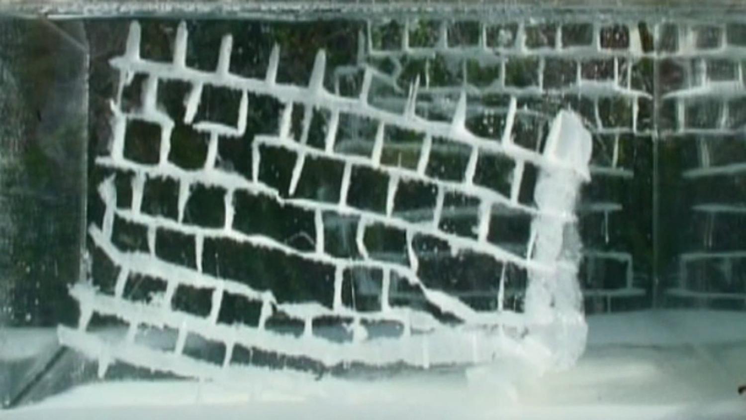 Richard Frater Sweet Apparition (2008) | Circuit Artist Moving Image ...