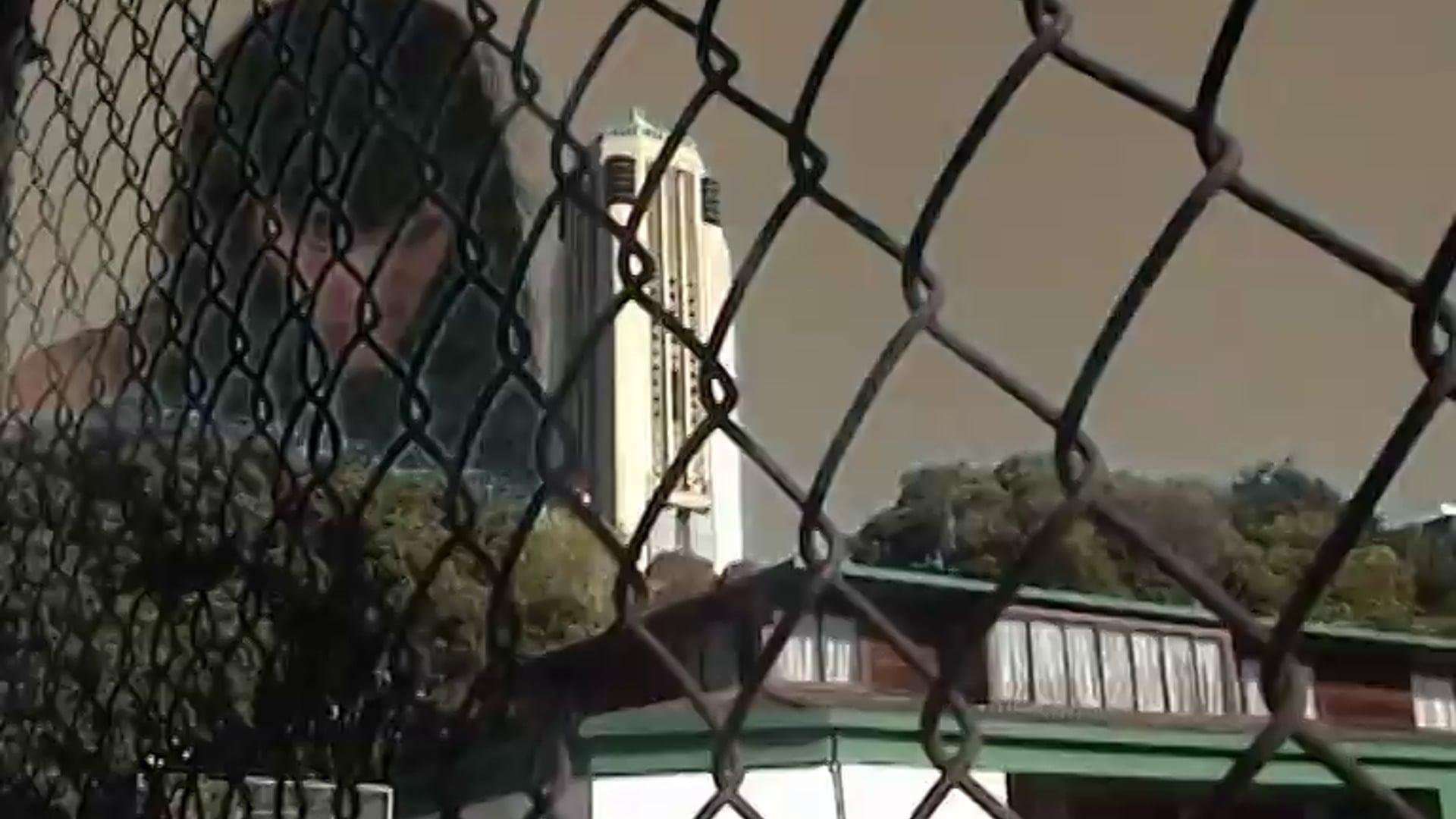 Bek Coogan Civilization (2004) | Circuit Artist Moving Image Aotearoa ...