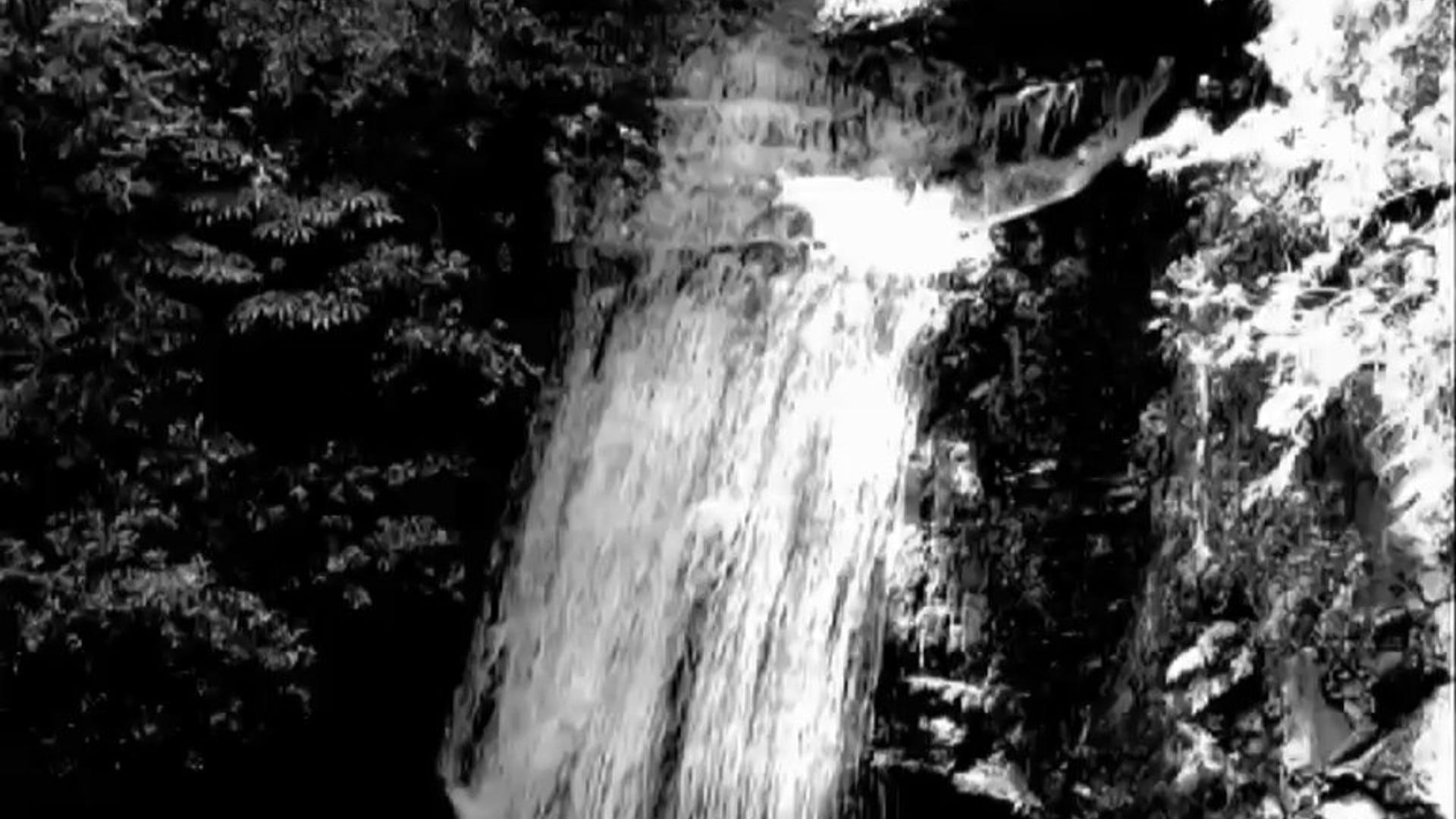 Murray Hewitt The Downfall of Light (2010) | Circuit Artist Moving ...