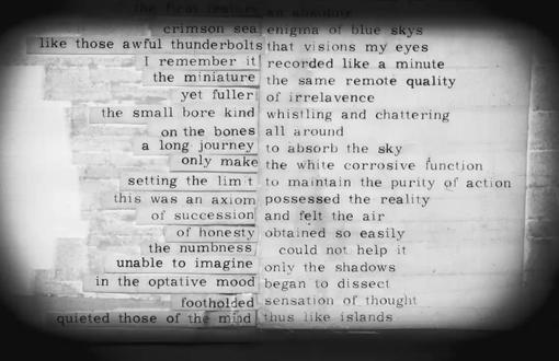 Jim Allen On Planting a Native (2014) | Circuit Artist Moving Image ...