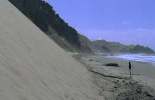 Murray Hewitt The Downfall of Light (2010) | Circuit Artist Moving ...