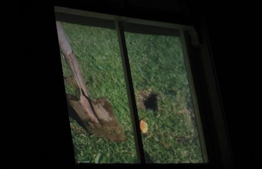 Lily Worrall trip (2015) | Circuit Artist Moving Image Aotearoa New Zealand