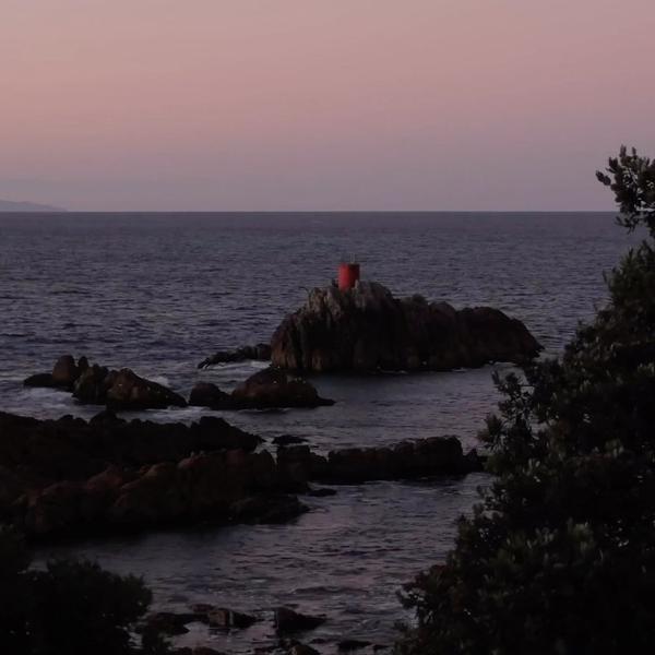 CIRCUIT Symposium 2018: The Time of the Now | Circuit Artist Moving ...