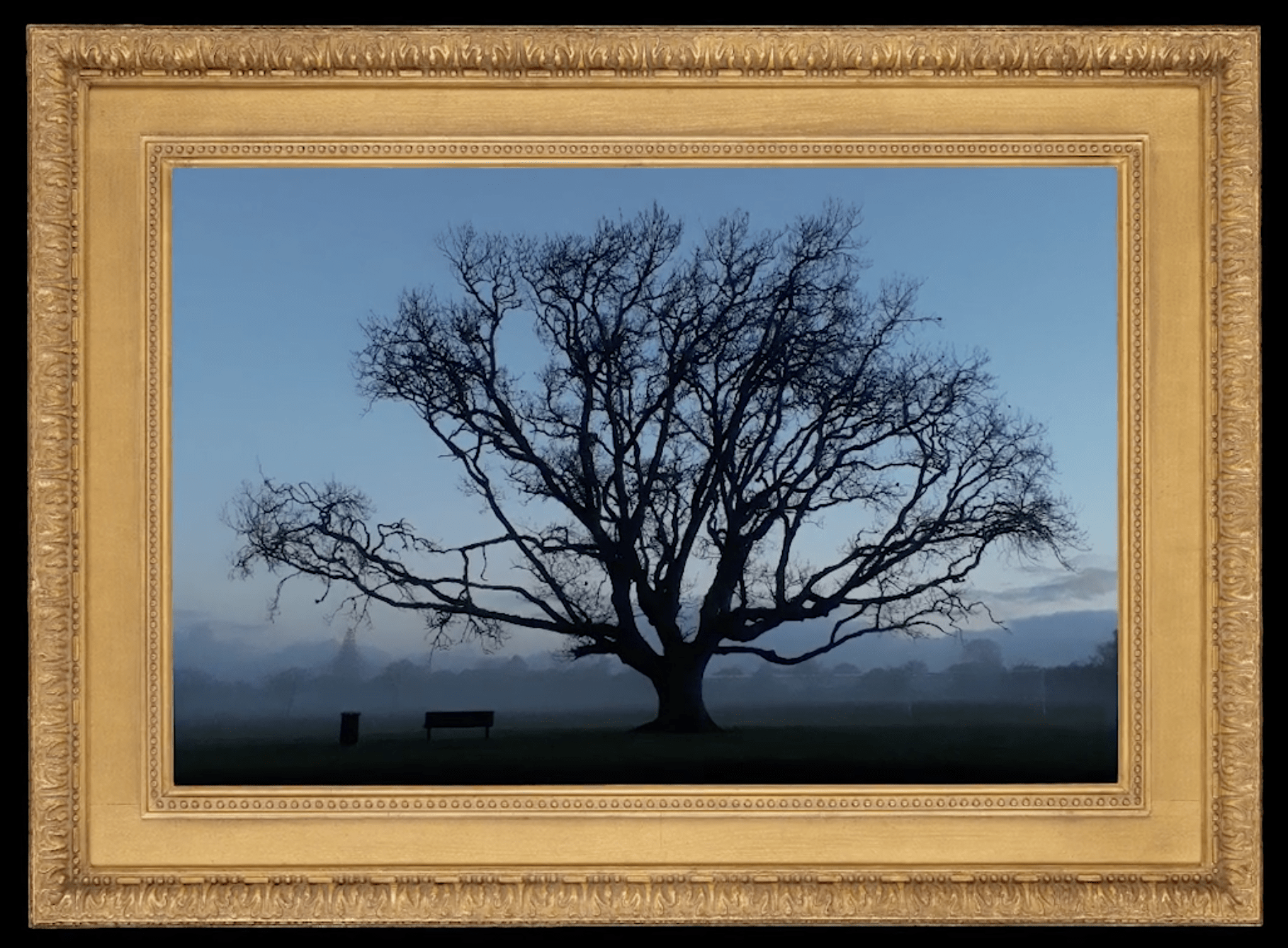 Janet Lilo | Circuit Artist Moving Image Aotearoa New Zealand