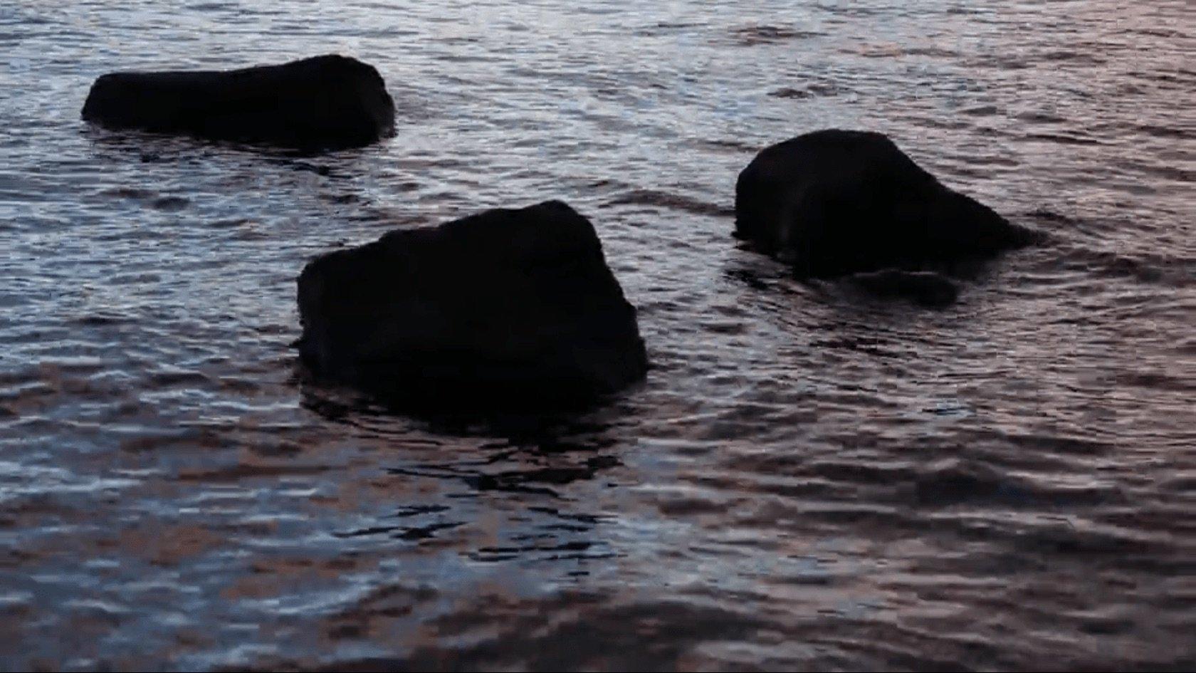 Daegan Wells | Circuit Artist Moving Image Aotearoa New Zealand