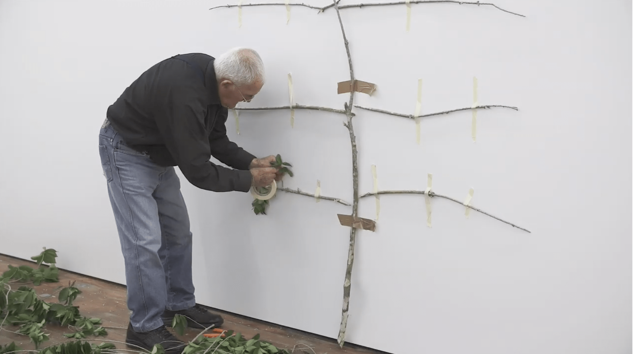 Jim Allen | Circuit Artist Moving Image Aotearoa New Zealand