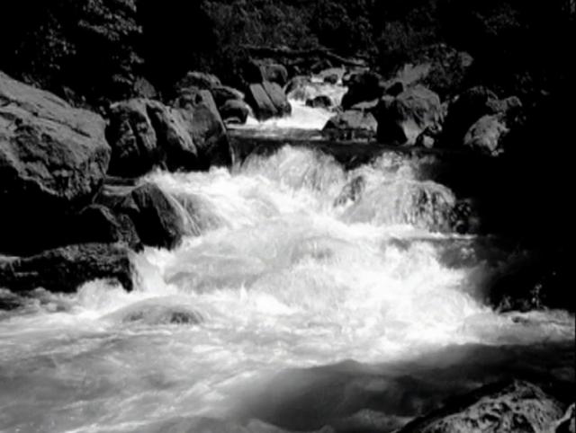 Murray Hewitt | CIRCUIT Artist Film and Video Aotearoa New Zealand